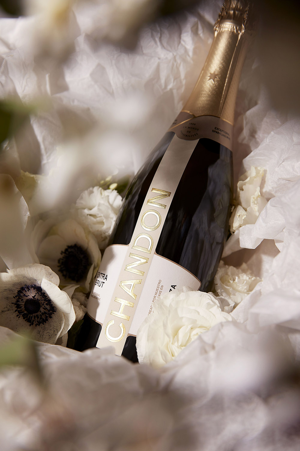 Pop Goes Chandon: Celebrating 10 Years With Vintage 2015
